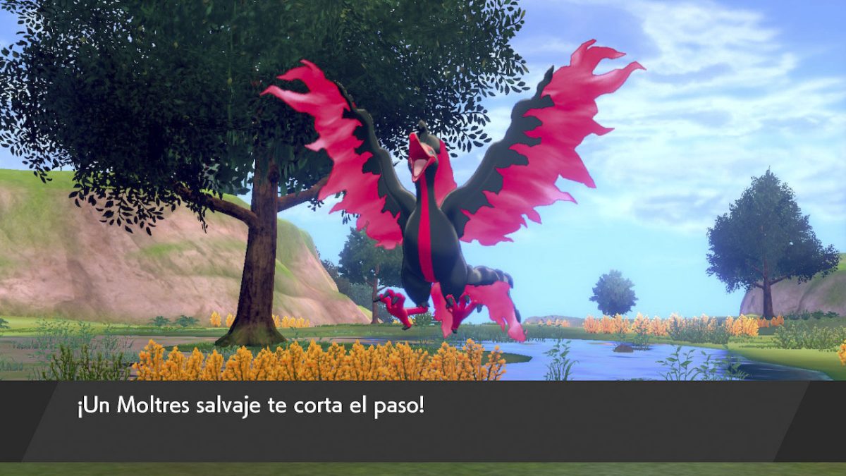 Pokémon Sword & Shield Collection – GAME LEGACY